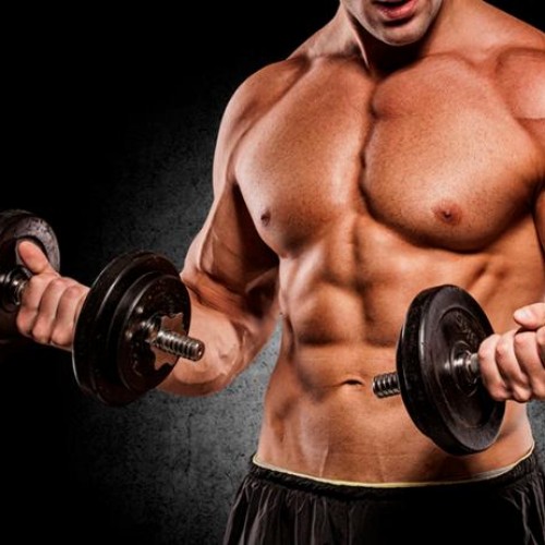 Academia Meta Fitness :: Rio das Ostras